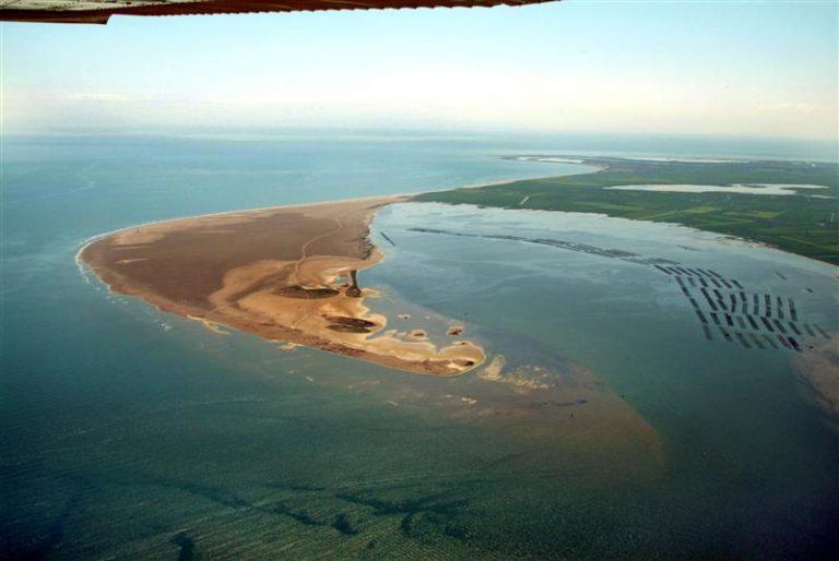 La espectacular Playa punta del fangar - Autocares Vistabus